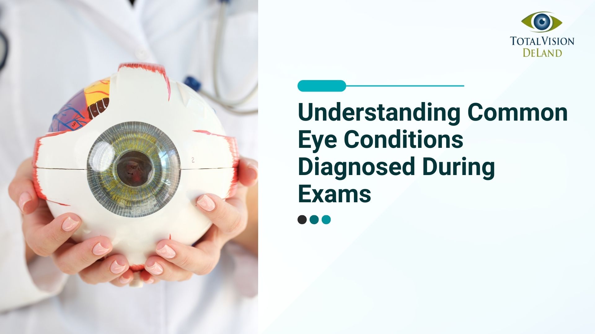 Understanding Common Eye Conditions Diagnosed During Exams - Total ...